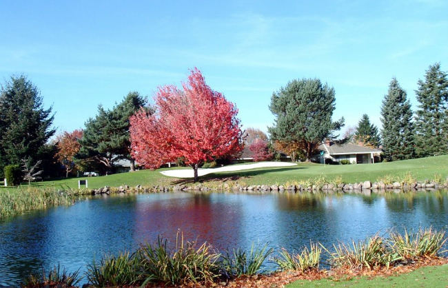 Home - Charbonneau Golf Club